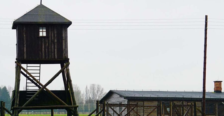Warsaw: Majdanek Concentration Camp & Lublin Guided Day Tour - Introduction: The Power of a Full-Day Experience