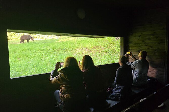 Watching Brown Bear from hideout/ Guarantee you'll see wild Bears - An Overview of the Experience