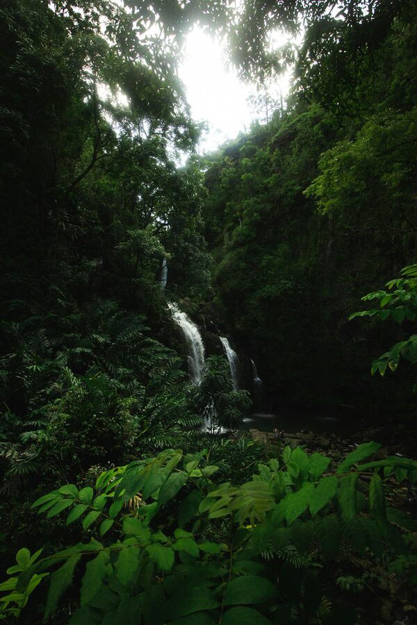 Waterfall in the lush greenery of a Hawaiian rainforest near Hana