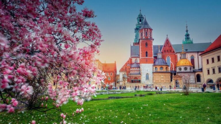 Wawel Hill Tour with Audio Guide - Entering Wawel Hill: The First Impressions