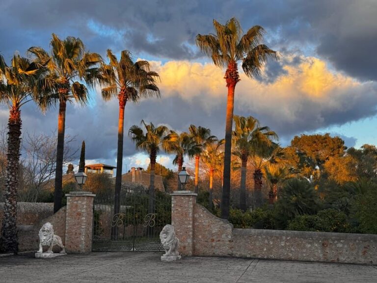 Weinsonntag auf Mallorca - What to Expect During the Event