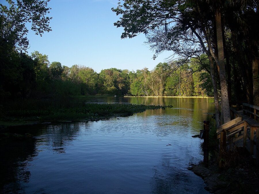 Clear spring-fed water flowing out of Wekiwa Springs in Apopka, Florida