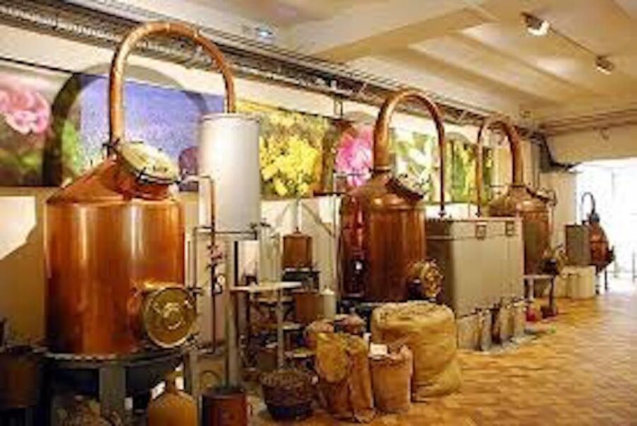 West Coast and Country Side full day Tour - An In-depth Look at the Tour Experience