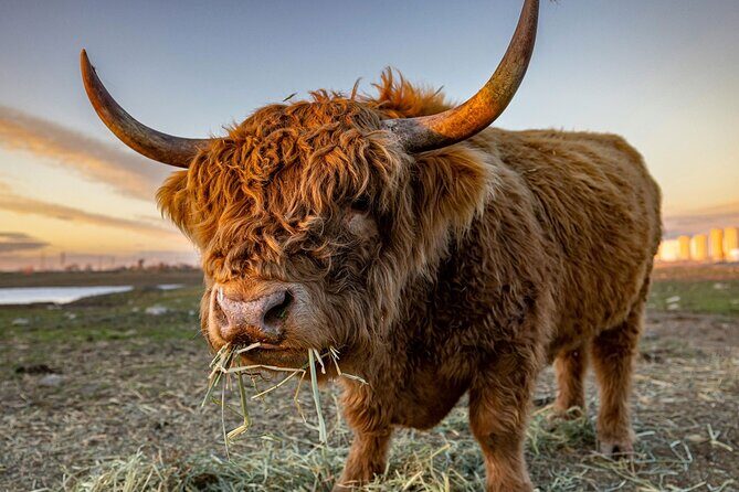 West Coast Lochs & Castles Tour - from Glasgow - The Itinerary Breakdown