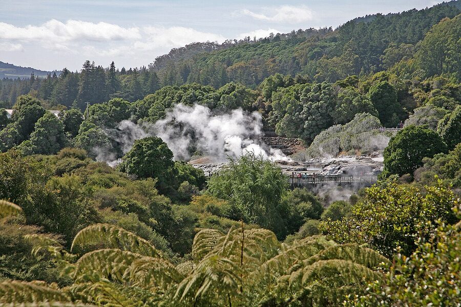 Steam clouds rising from the Whakarewarewa thermal valley, Te Puia, Rotorua