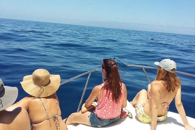 Whale and dolphin watching tour Los Gigantes and Masca in small groups - Transportation, Group Size, and Booking