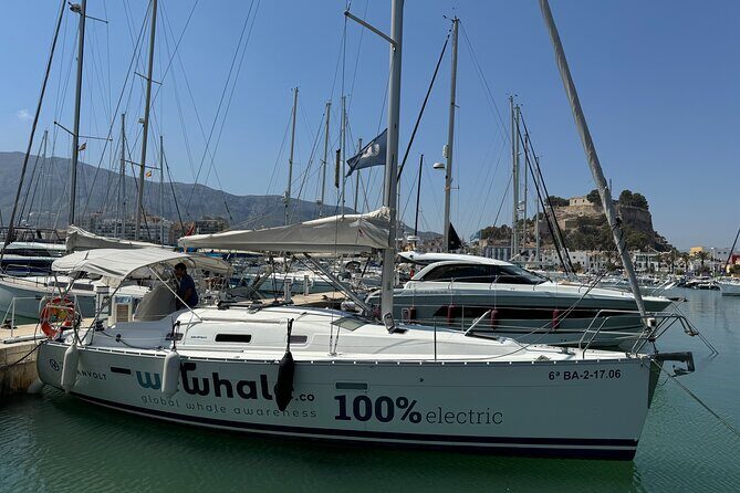 Whale & Dolphin Observation on Electric Sailing Boat in Denia - Is This Tour Worth It?