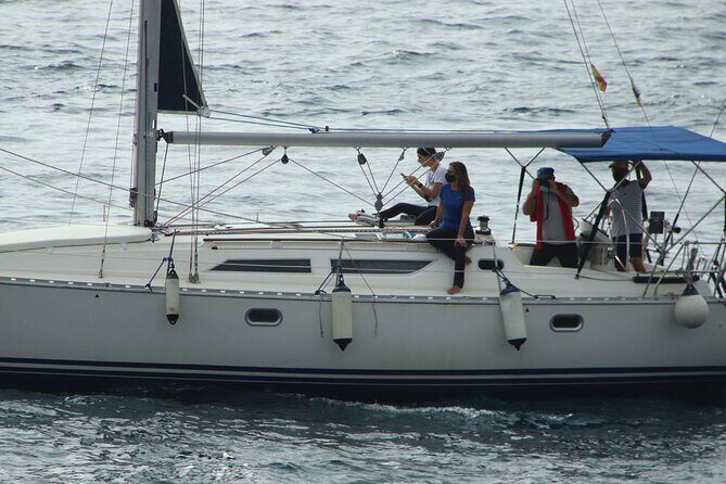 Whale & Dolphin Watching Boat Trip in Tenerife On a Sailing Boat (3 Hr) - The Value Proposition: Is It Worth It?