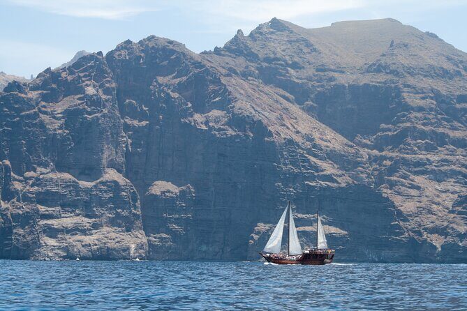 Whale Safari to Los Gigantes with pickup from North - Detailed Itinerary Breakdown