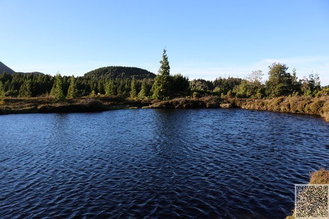 Whale Watching and Jeep Tour - Practical Considerations for Travelers