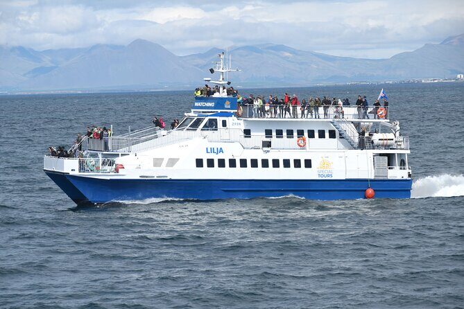 Whale Watching Tour from Akureyri City Central - The Wildlife and the Guides: Authentic Encounters