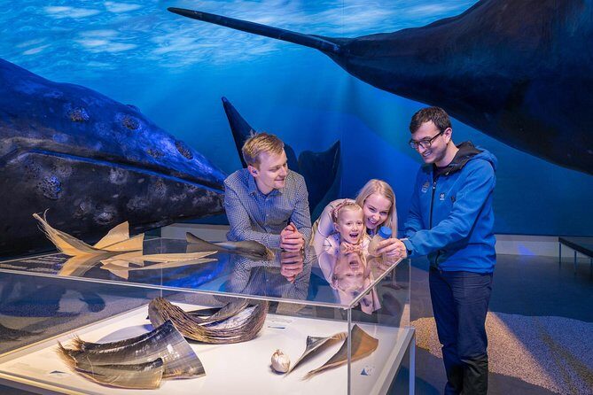 Whales of Iceland from Land and Sea - The Scenic Journey and Wildlife Observation