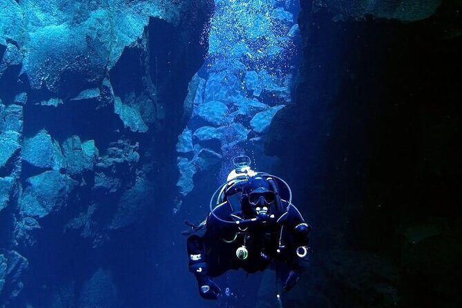 Where and How You Want Private Tour with Wilmar English or Spanish - Why This Tour Is Worth Considering