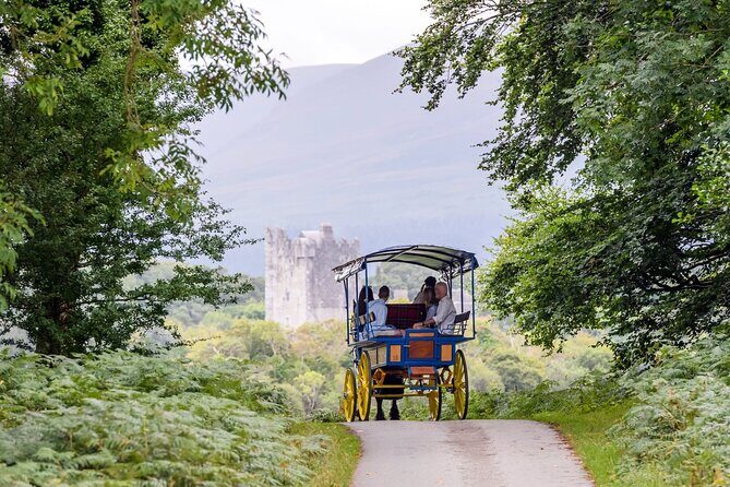 Whiskey & Wonders in Killarney - Exploring Killarney’s Landmarks and Natural Beauty