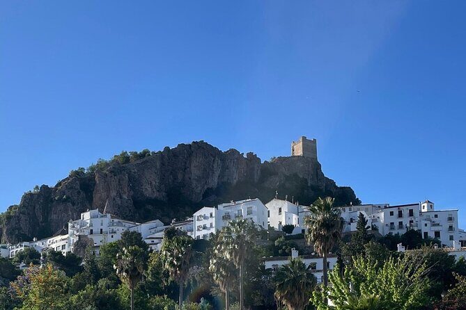 White Villages and Ronda Day Trip from Seville - Authentic Experiences and Guest Insights