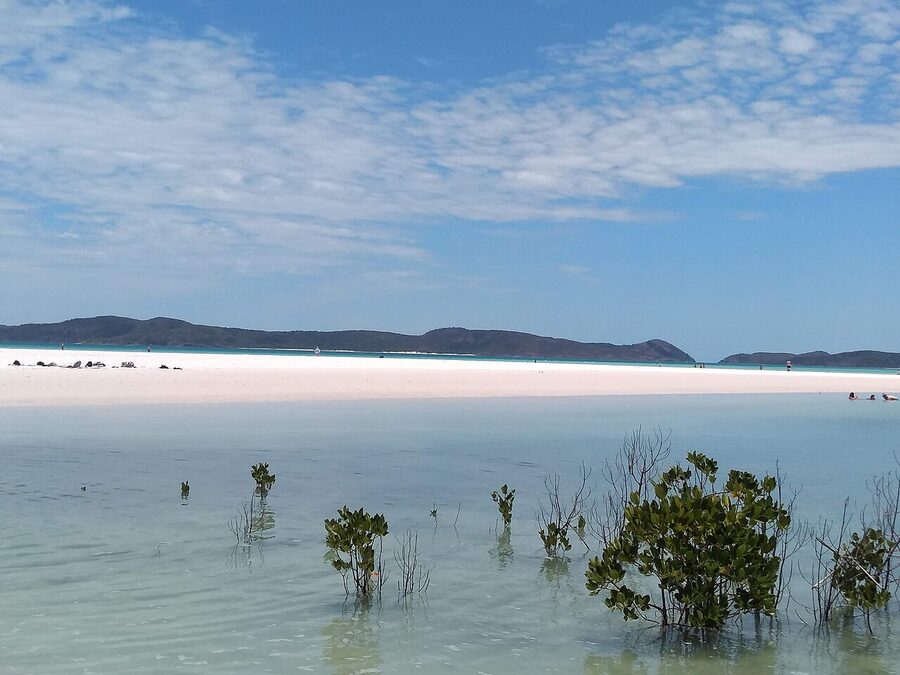 Whitehaven Beach pure white silica sand stretching down the shoreline