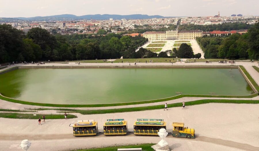 Wien: Tours with locals by public transport & walking - Transportation & Group Experience