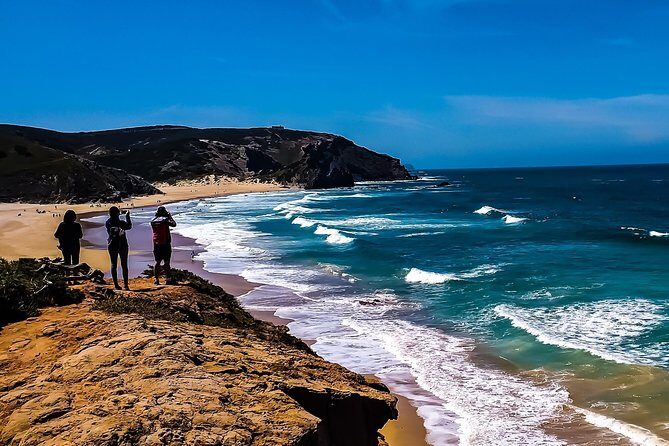 Wild and Wonderful West Coast Full Day Tour - Why This Tour Offers Great Value