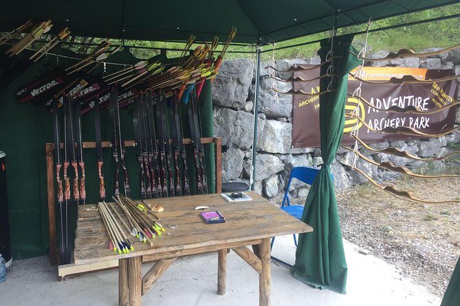 Wild Experience - The Course and Activities