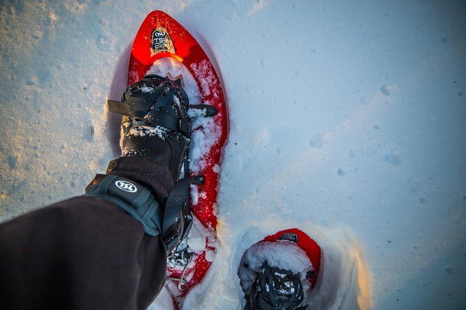 Wilderness snowshoe adventure - Why Choose the Wilderness Snowshoe Adventure?