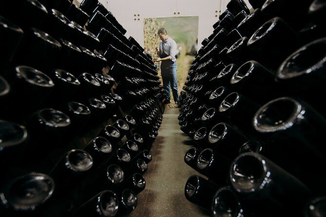 Wine and Balsamic Vinegar Tour with Tasting - The Value of This Tour