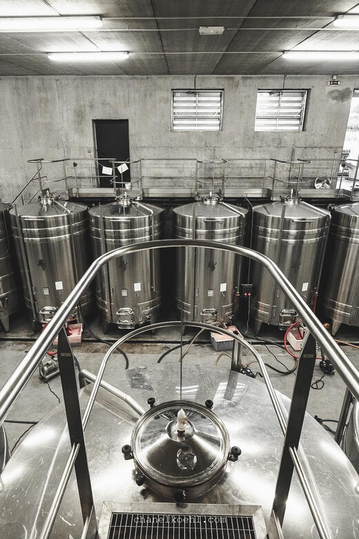 Wine and Cheese experience - Valuing the Price