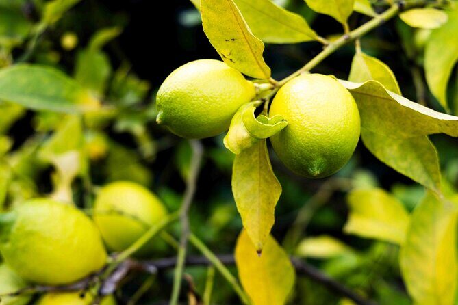 Wine and Scenic Beauty in Douro Valley - Final Thoughts