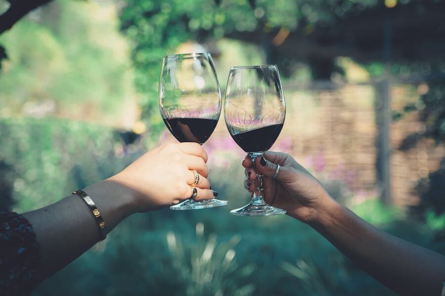 Couple toasting with red wine