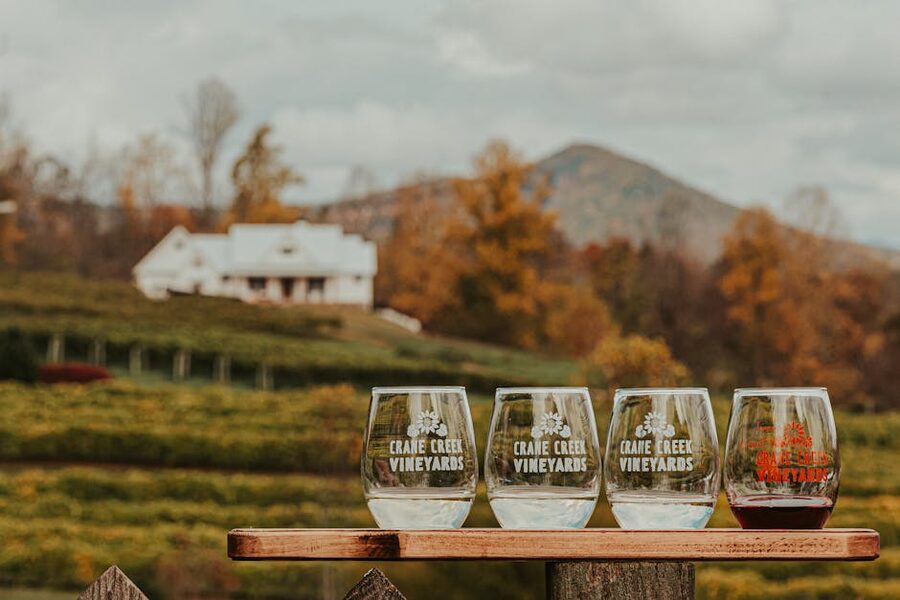 Wine glasses on a wooden table at a vineyard