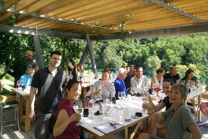 Wine & more Tour , private guided wine tour from ROVINJ & PULA to wine cellars - Who Should Consider This Tour?