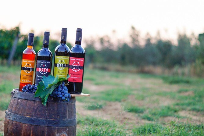 Wine & Oil Tasting Experience - Behind the Scenes: What You Can Expect