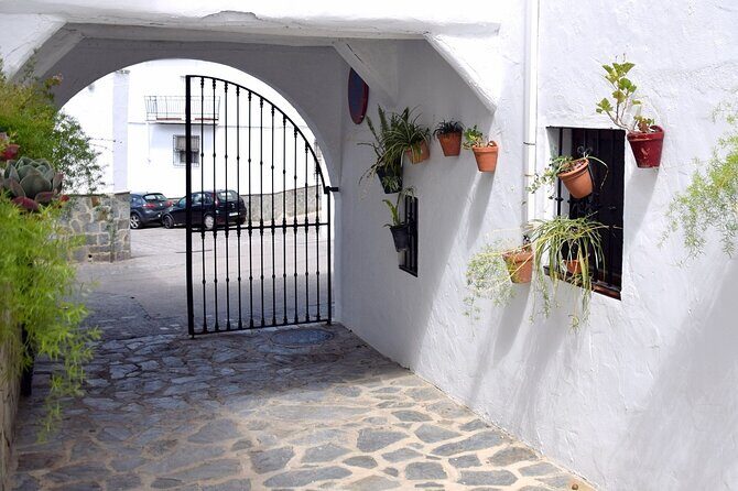 Wine & Tapas tour by electric bike (e-bike) including Ronda pickup (half day) - An In-Depth Look at the Experience