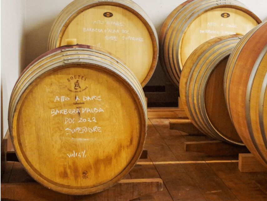 Wine Tasting and Food Pairings in Langhe and near Alba - Experience Overview and What You Can Expect