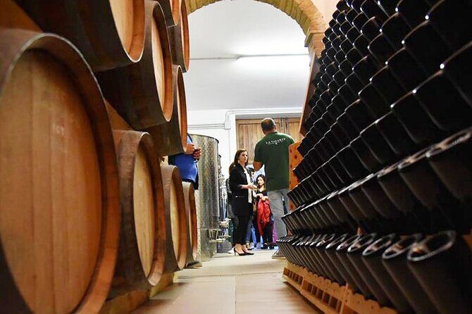 Wine Tasting and Guided Visit to the Vineyard and Cellar in S. Maria Imbaro - Why This Tour Is a Great Pick for Travelers