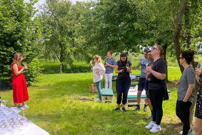 Wine Tasting and Tour of Lugana Wines in Sirmione - Who Will Love This Tour?