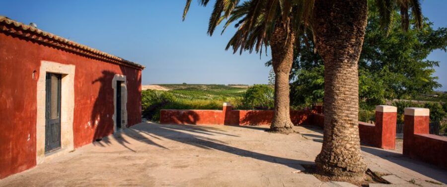 Wine Tasting and Typical Tastings in the Val di Noto - Guided Tasting of Four Regional Wines