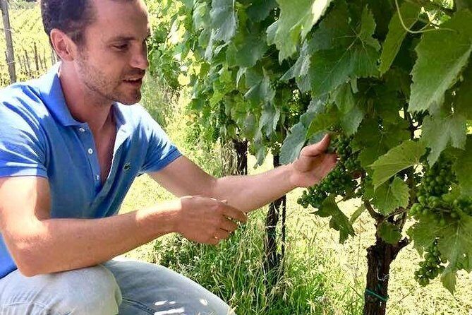 Wine Tasting and Winery tour - The Value of This Experience