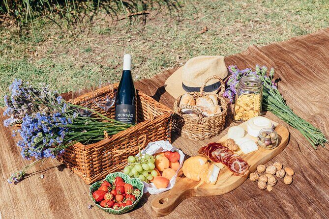 Wine tasting at Quinta das Murgas - Who will love this tour?