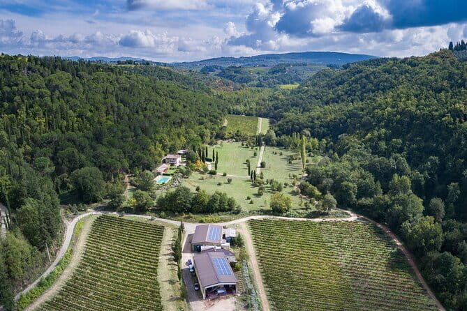 Wine Tasting by CarusVini in San Casciano in val di Pesa - Who Will Enjoy This Experience?