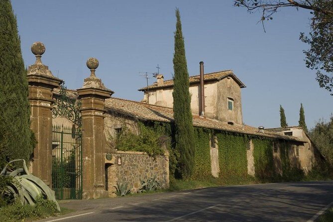 Wine tasting in Roman Countryside: 3-hour tour from Rome - Practical Details and Tips