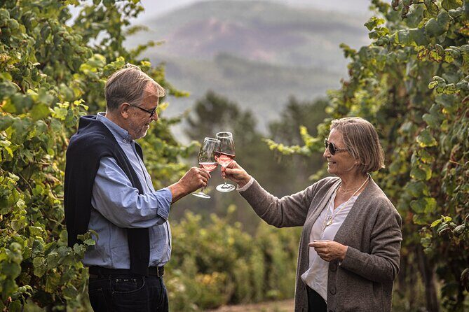 Wine Tasting & Lunch | Quinta de Santa Cristina Vinho Verde - Setting the Scene: What You Can Expect