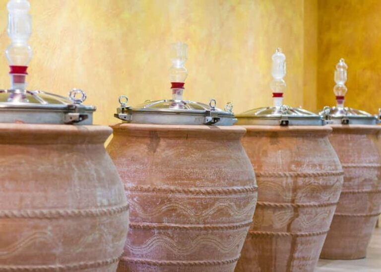 Wine Tasting on Mt. Vesuvius - Who Should Book This Tour?