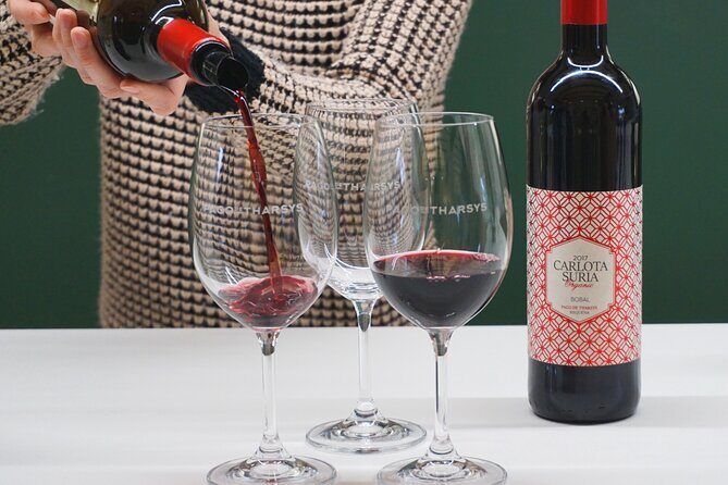 Wine tasting tour - Authentic Insights from Reviews