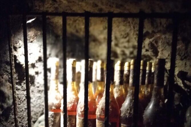 Wine Tasting Tour in Tokaj Wine Region Slovakia. With transport - Discovering the Heart of Slovakia’s Tokaj with a Guided Wine Tour