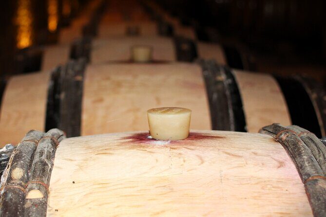 "Wine tasting tours in Burgundy" - Who Would Love This Tour?