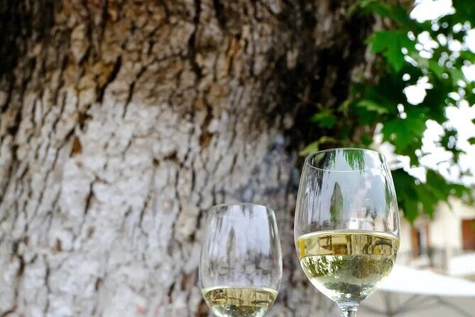 Wine Tasting Walking Tour in Old Town Chania - Why This Tour Works