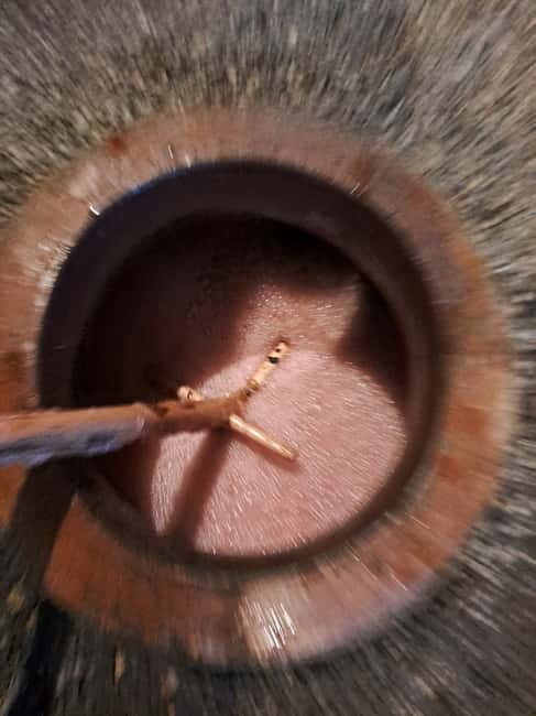 Wine Tour by Winemaker - The Overall Value and Experience