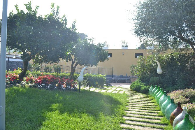 Wine Tour Experience for Family or friend's group - The Value of This Tour