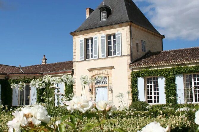 Wine Tour of Mèdoc : Châteaux, Tastings and WSET Guide - Final Thoughts: Is It Worth It?