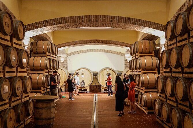 WINE TOUR with sommelier in a winery near Cagliari - Final Thoughts